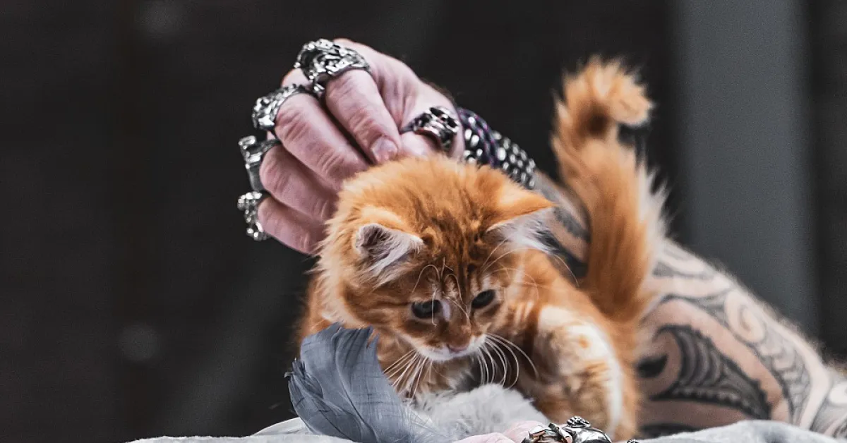 How to choose the perfect pearl cross for your cat's jewelry